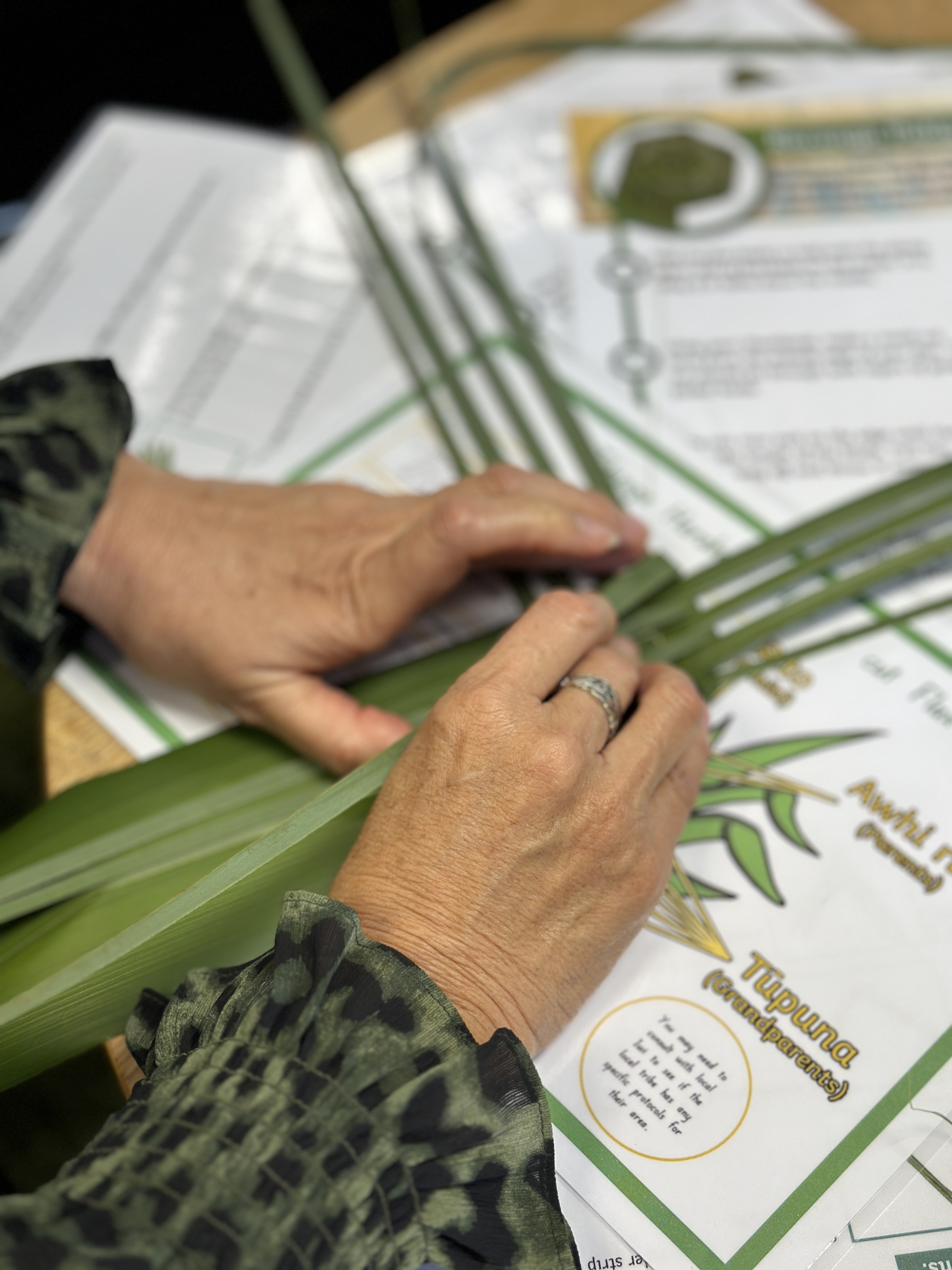‘Ake ake ake – a forever language’: Te Wiki o te Reo Māori - Le Va